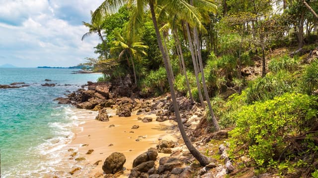 Maya Bay 2026: Complete Guide to Hours, Fees & Insider Tips — Phi Phi ...